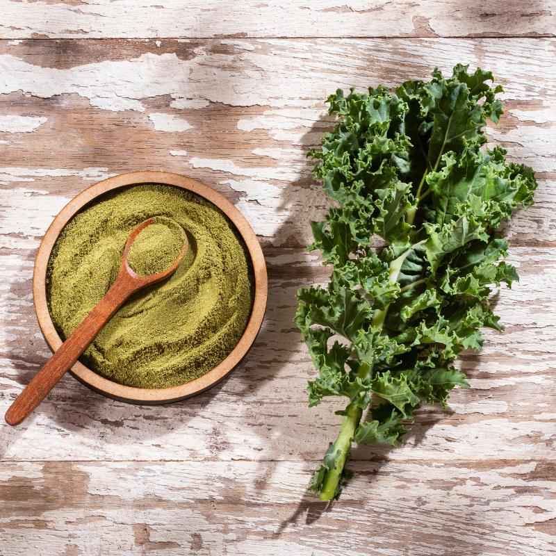 Grünkohlpulver Bio – Superfood für deine Gesundheit